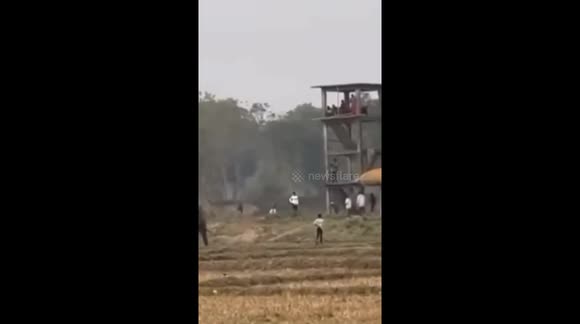 Wild elephant chases tractor and attacks watchtower in India - Buy ...