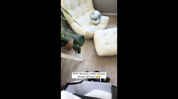 Exclusive- Temu robot vacuum goes rogue, spins out of control - Buy ...