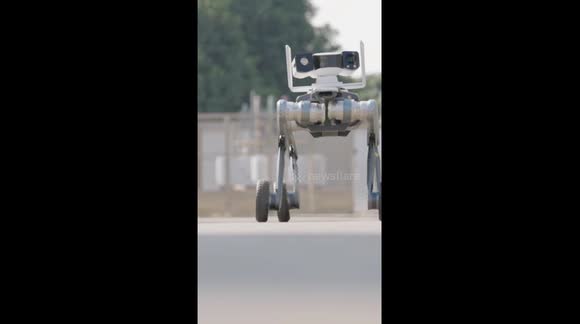 China's versatile power inspection robot dog - Buy, Sell or Upload ...
