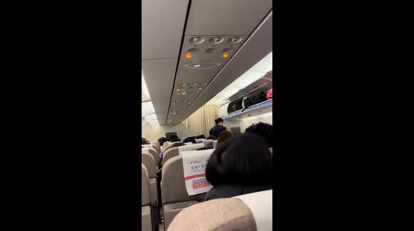 Passengers deplaned when pilot falls unconscious before takeoff - Buy ...