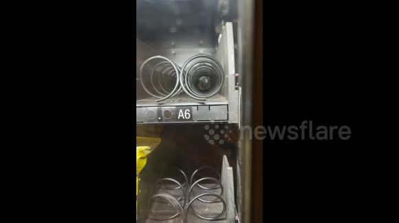 Mouse found scurrying around inside vending machine - Buy, Sell or ...
