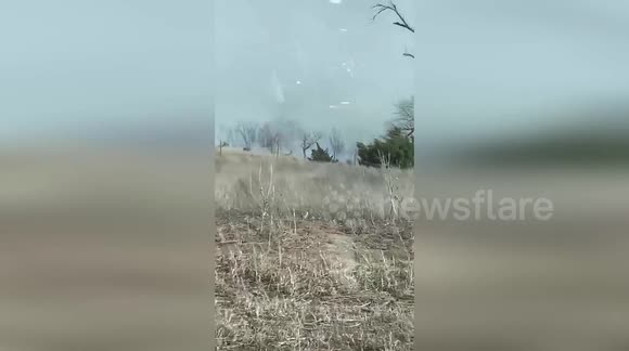 US: Deer Flee as Wildfires Force Evacuations Across Oklahoma Towns ...