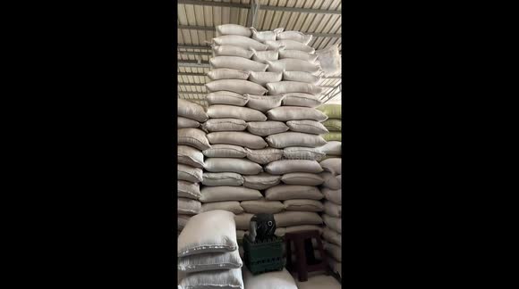Sacks or rice tumble as earthquake in Myanmar causes devastation - Buy ...