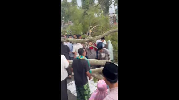 3 dead and 16 injured by falling tree while preparing for Eid prayers ...