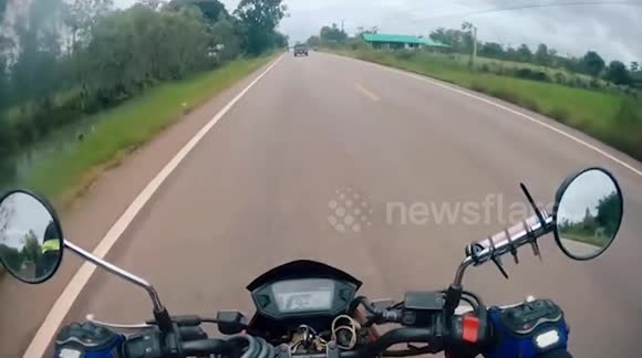 Shocked motorbike rider pulls over when snake appears on handlebars ...