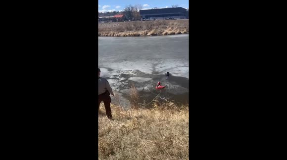 Caught on Camera! Loki Rescued from River Thanks to Minot Teamwork ...