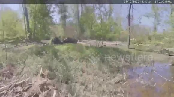 Sterling Heights Officer Rescues Panicked Kayaker From River Buy