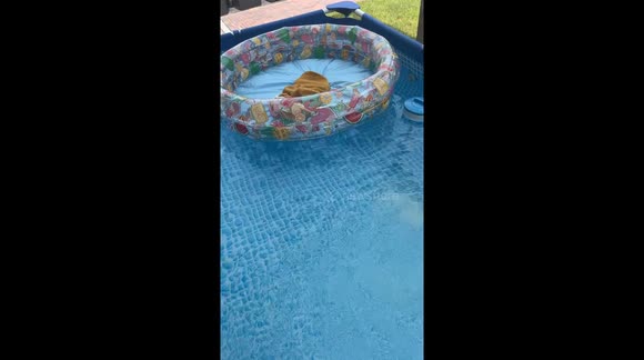 Exclusive- Genius pool hack calms overheated baby—and the internet can ...
