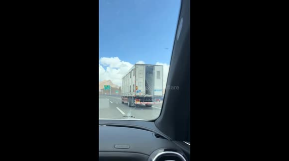 Chicks escape from crate and ride in back of moving truck in Xinjiang ...