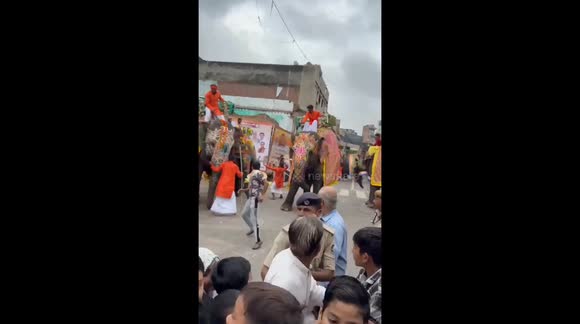 Elephants panicked by loud music run amok during festival in India ...