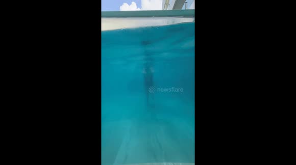 Swimmer bumps her nose on pools underwater glass - Buy, Sell or Upload ...