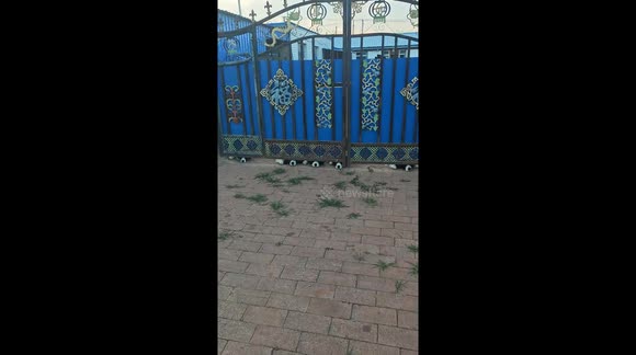 Border Collies peek under gate to watch passersby in Inner Mongolia ...