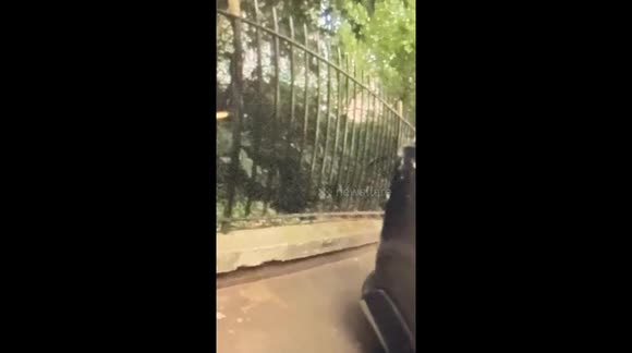 Suspect caught on CCTV 'smashing car window to steal bag' in London ...