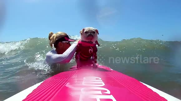 Surf Gidget Rides A Quad - Buy, Sell or Upload Video Content with Newsflare