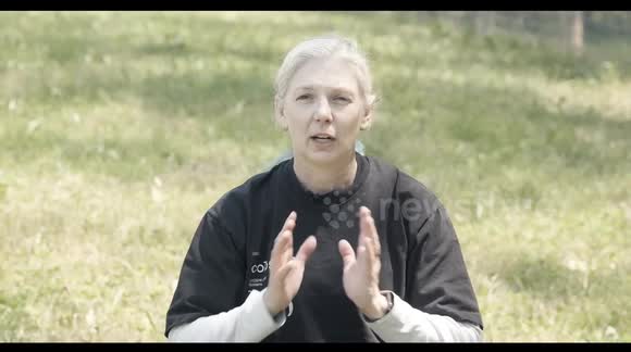 'De-Extincted' 'Dire Wolf' Pack Play Together For First Time - Buy ...