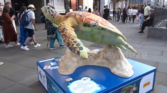 Tusk Turtle Trail 2025 - rich colours of Sea Turtle by Dave White adds ...