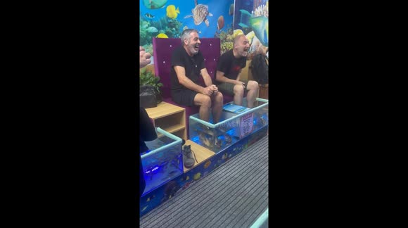 Tourists giggle uncontrollably while trying fish spa - Buy, Sell or ...