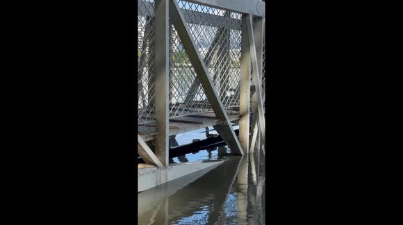 Mudskipper showdown: Viral pipe chase in Australia hits 1.6M views on ...