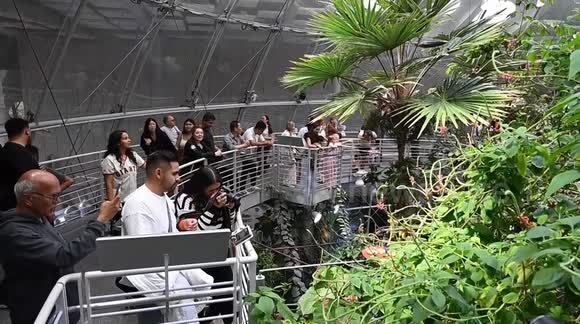 California Academy’s rainforest dome captivates with 1,600 species ...