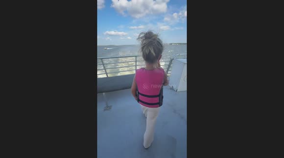 Exclusive- Seagull snatches Cheeto from girl’s mouth in daring TikTok ...