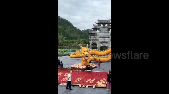 Chinese villagers build 50-metre-long dragon from 10,000 ears of corn ...