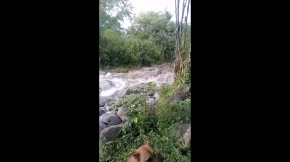 Terrifying floodwaters surge toward bridge in Bukidnon, Philippines ...