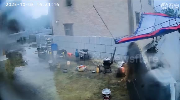 Terrifying moment typhoon winds flip up canopy leaving dogs hanging ...