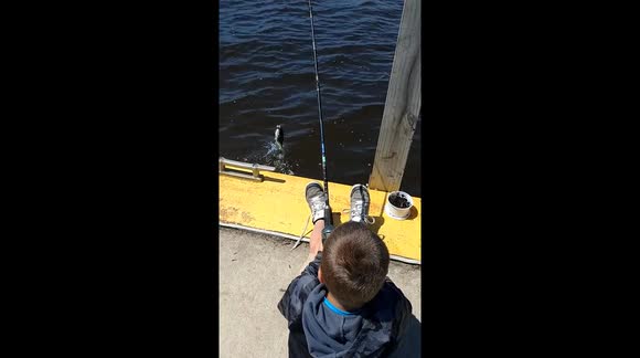 The peak excitement of our "up north" Michigan vacation! Grandson ...