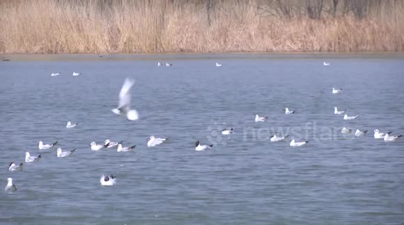 China: China builds world's largest water conservancy infrastructure ...