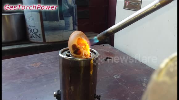 Watch this video of an egg get DESTROYED by a gas torch flame - Buy ...