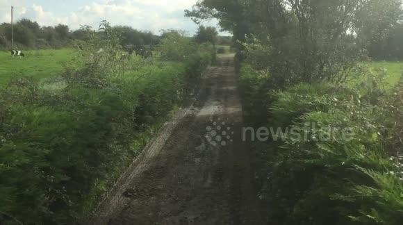 Big truck gets stuck down narrow road - Buy, Sell or Upload Video ...