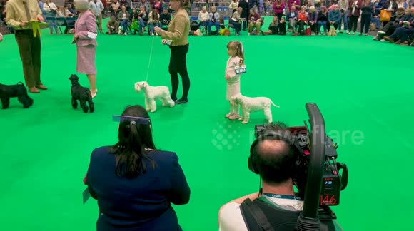 Caitlyn Mellor (4yrs old) and Lydia Mellor (mother) (Mother and ...