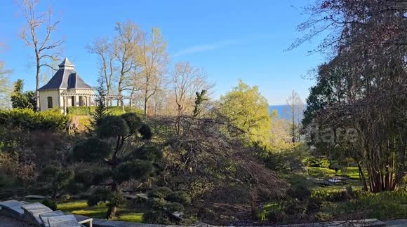 First Signs of Spring: New Foliage and Sunny Sky in Scandinavian Forest ...