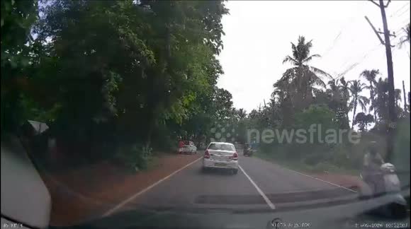 Miraculous Escape as Coconut Tree Crashes onto Moving Car in Kannur ...