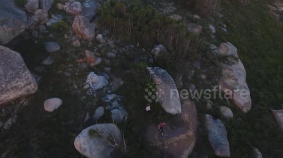 Drone footage opf a girl falling face first into bushes due to tripping ...